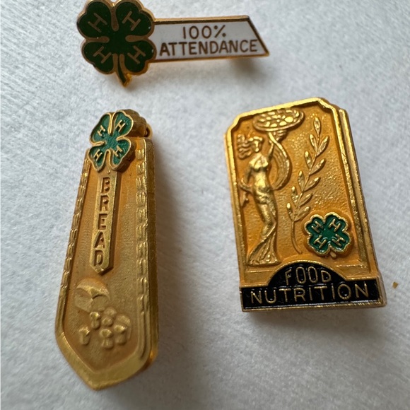 Design | 3 Vtg 4h Pins Club Food Nutrition Award Lapel Bread 10 ...